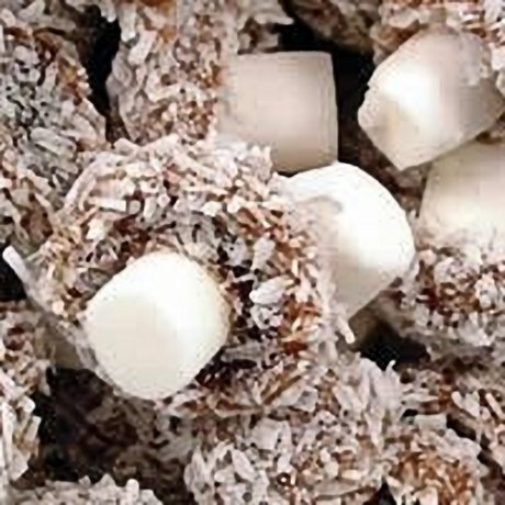 Coconut Mushrooms from Taveners - Moist, Chewy and Moreish!
